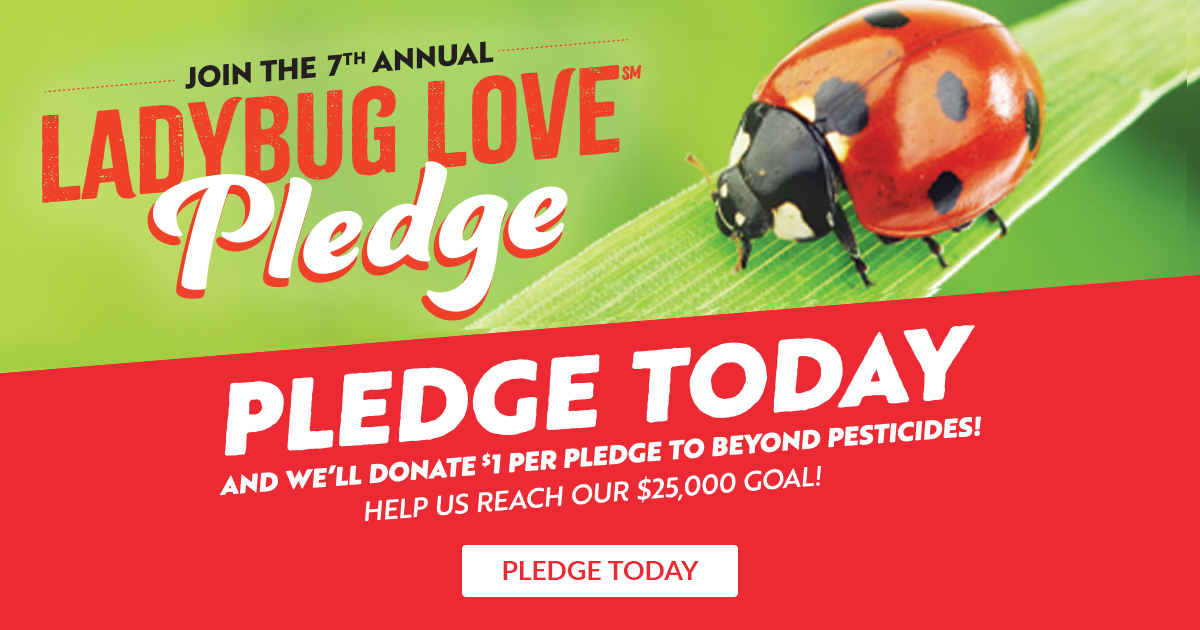 Ladybug Love Pledge | Natural Grocers