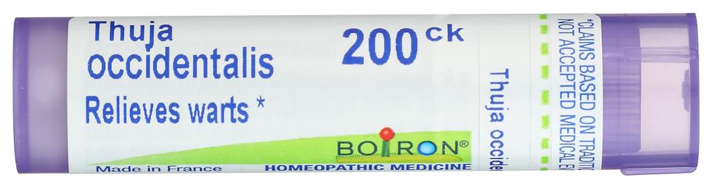 Thuja Occidentalis 200 C Md 80 Tab | Natural Grocers